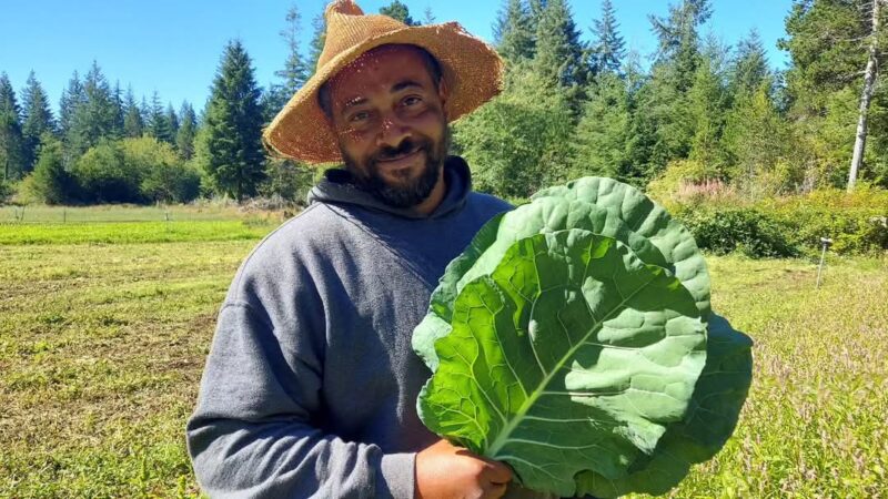Welcome to the BIPOC Farmers Hub where we cultivate equity! - The ...