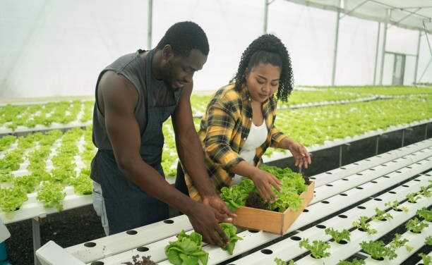 Feeding Our Future Program - The Making a Difference Foundation